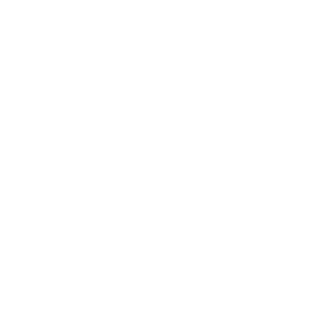 Ilustre Municipalidad de Punta Arenas.